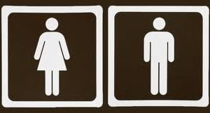 Gênero - O que é, conceito e definição