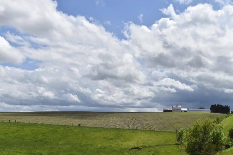 Comunidade rural - O que é, conceito e definição