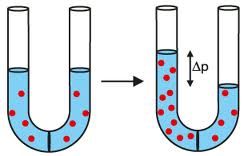 Conceito de osmose - O que é, Definição e Significado