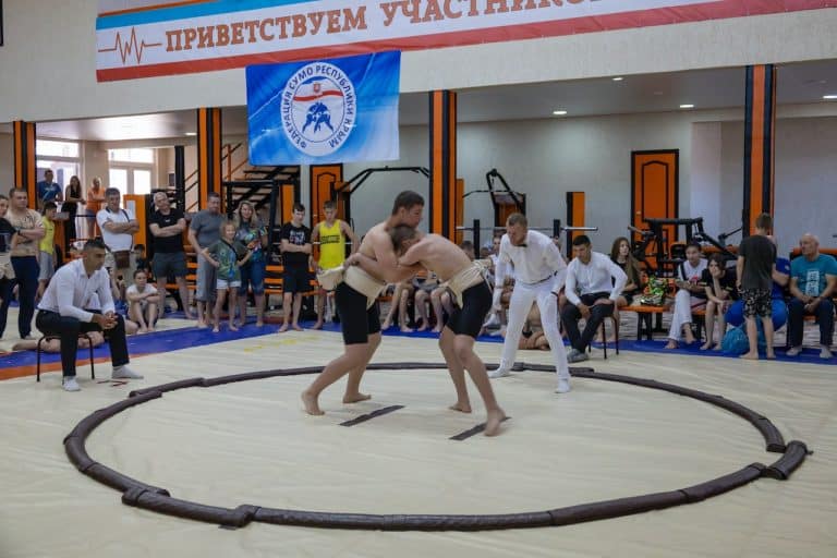 Sumo - O que é, conceito e definição