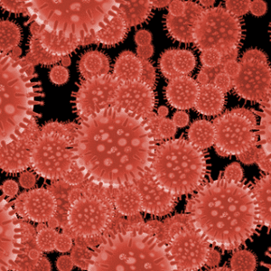 Virulência - O que é, importância, conceito e definição