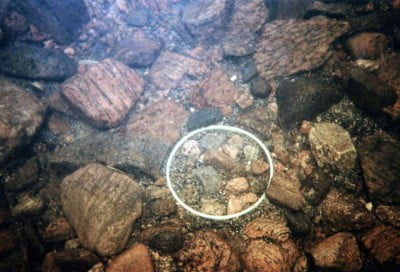 Conceito de sedimento - O que é, Definição e Significado