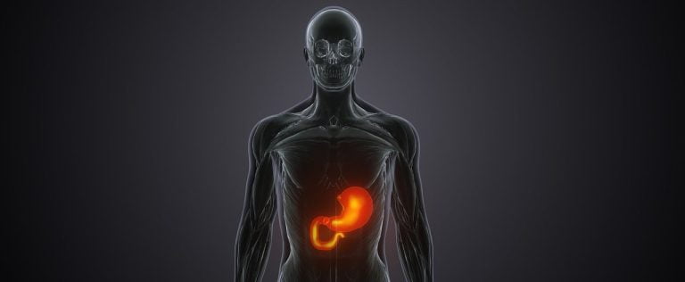 Bílis - O que é, funções, conceito e definição