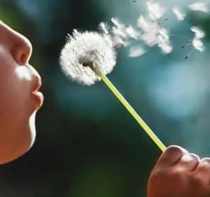 Sopro - O que é, conceito e definição