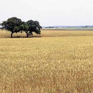 Peneplanície - O que é, conceito e definição