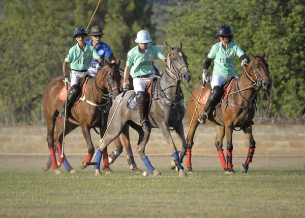 Polo - O que é, conceito e definição