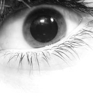 Pupila - O que é, conceito e definição