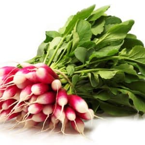 Rabanete - O que é, conceito e definição