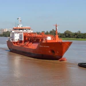 Esteio - O que é, conceito e definição