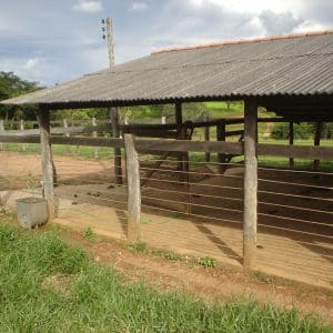 Redil - O que é, importância, conceito e definição