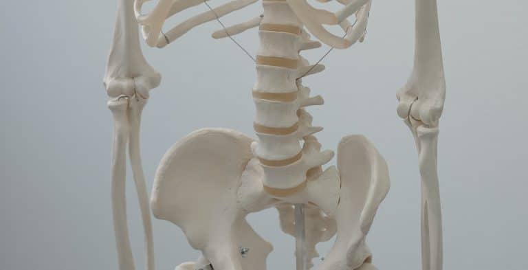 Sacro - O que é, conceito e definição