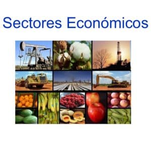 Sector primário - O que é, conceito e definição