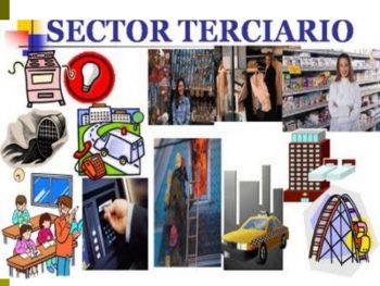 Conceito de sector terciário - O que é, Definição e Significado
