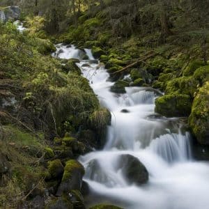 Torrente - O que é, conceito e definição