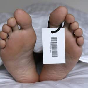 Cadáver - O que é, conceito e definição