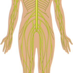 Ataxia - O que é, conceito e definição