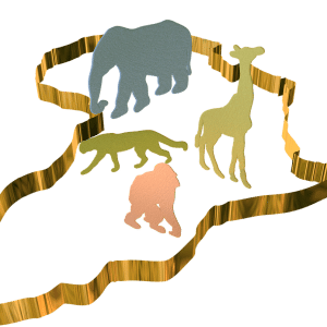 Biogeografia - O que é, conceito e definição