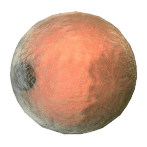 Zigoto - O que é, conceito e definição