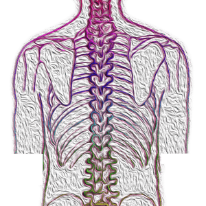Cervical - O que é, conceito e definição