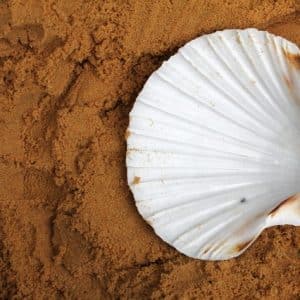 Côncavo - O que é, conceito e definição