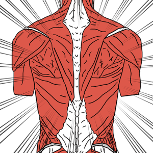 Contratura - O que é, conceito e definição