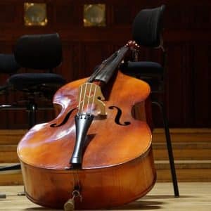 Contrabaixo - O que é, conceito e definição