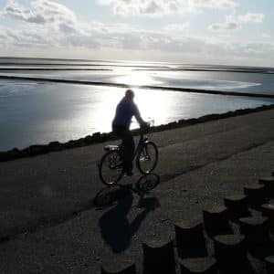 Dique - O que é, conceito e definição