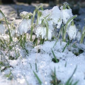Degelo - O que é, conceito e definição