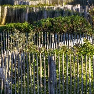 Estaca - O que é, conceito e definição