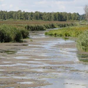 Assoreamento - O que é, causas, conceito e definição