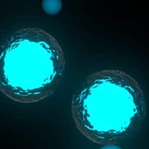 Mitose - O que é, conceito, funções e fases