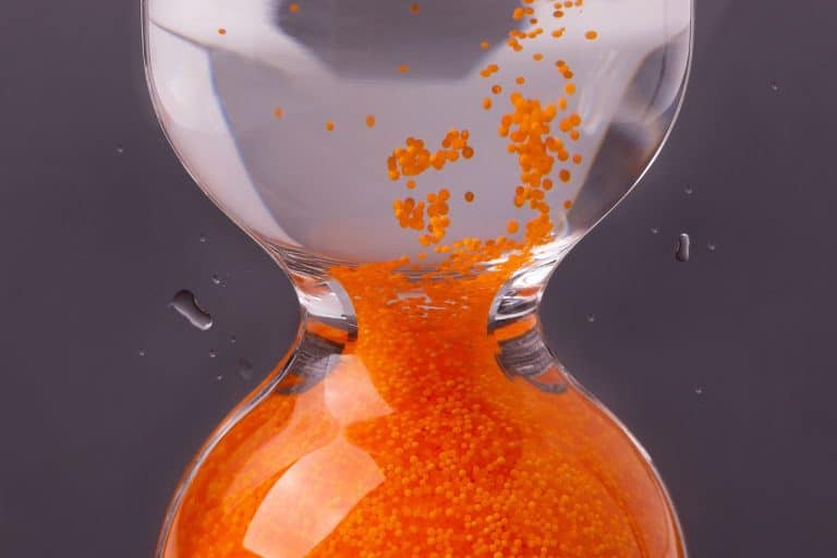 Metabolismo O Que Conceito Objetivos E Tipos metabolismo-o-que-conceito-objetivos-e-tipos