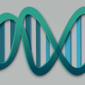 RNA - O que é, características, funções e tipos