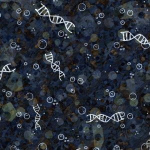 Gnosticismo - O que é, características, origem e influência