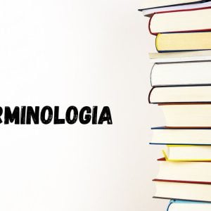 Terminologia - O que é, história, importância e tipos