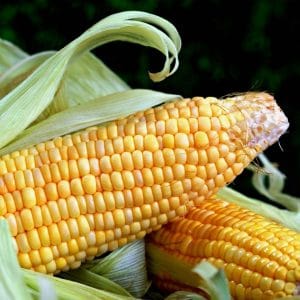 Commodities - O que é, tipos, características, importância e na economia